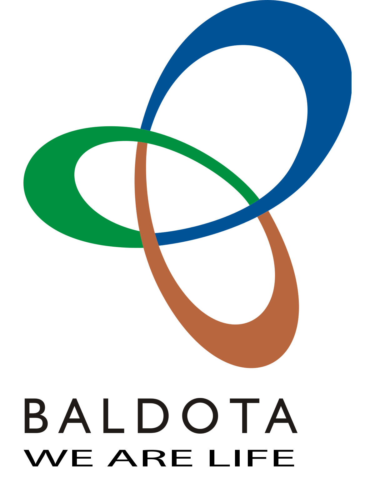 BALDOTA GROUP | HELPDESK